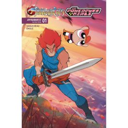 Thundercats Powerpuff Girls #1 Cover C Stone | Comix Zone
